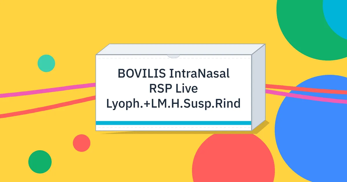 Symbolbild: Packung mit der Aufschrift BOVILIS IntraNasal RSP Live Lyoph.+LM.H.Susp.Rind (PZN 16120410) – Verfügbarkeit und Bezug in Apotheken in Frankfurt am Main