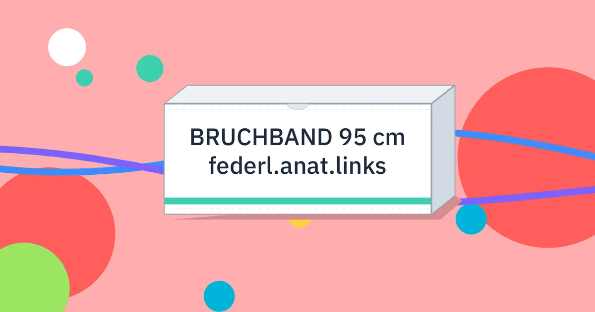 Symbolbild: Packung mit der Aufschrift BRUCHBAND 95 cm federl.anat.links (PZN 01961693) – Verfügbarkeit und Bezug in Apotheken in Frankfurt am Main