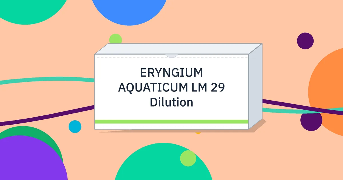 Symbolbild: Packung mit der Aufschrift ERYNGIUM AQUATICUM LM 29 Dilution (PZN 13478772) – Verfügbarkeit und Bezug in Apotheken in Frankfurt am Main