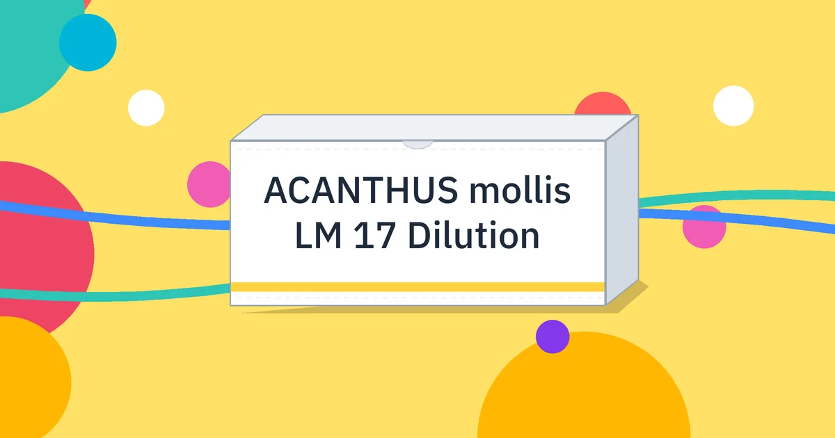 Symbolbild: Packung mit der Aufschrift ACANTHUS mollis LM 17 Dilution (PZN 13263356) – Verfügbarkeit und Bezug in Apotheken in Frankfurt am Main