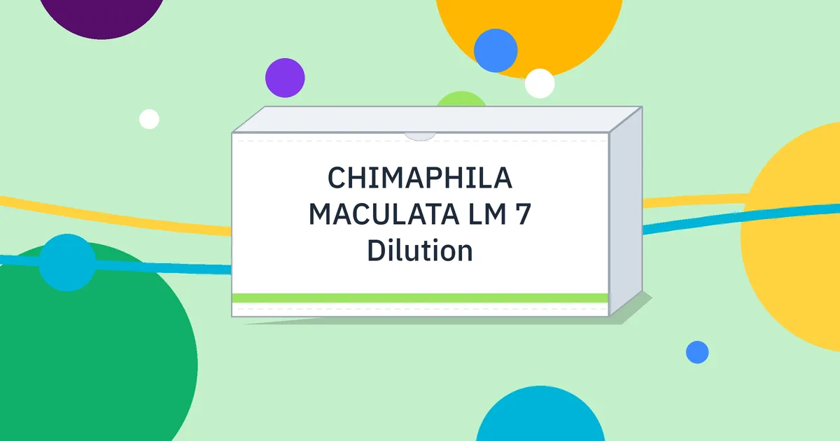 Symbolbild: Packung mit der Aufschrift CHIMAPHILA MACULATA LM 7 Dilution (PZN 13441711) – Verfügbarkeit und Bezug in Apotheken in Frankfurt am Main