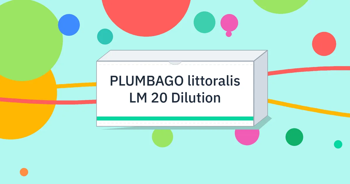 Symbolbild: Packung mit der Aufschrift PLUMBAGO littoralis LM 20 Dilution (PZN 13649110) – Verfügbarkeit und Bezug in Apotheken in Frankfurt am Main