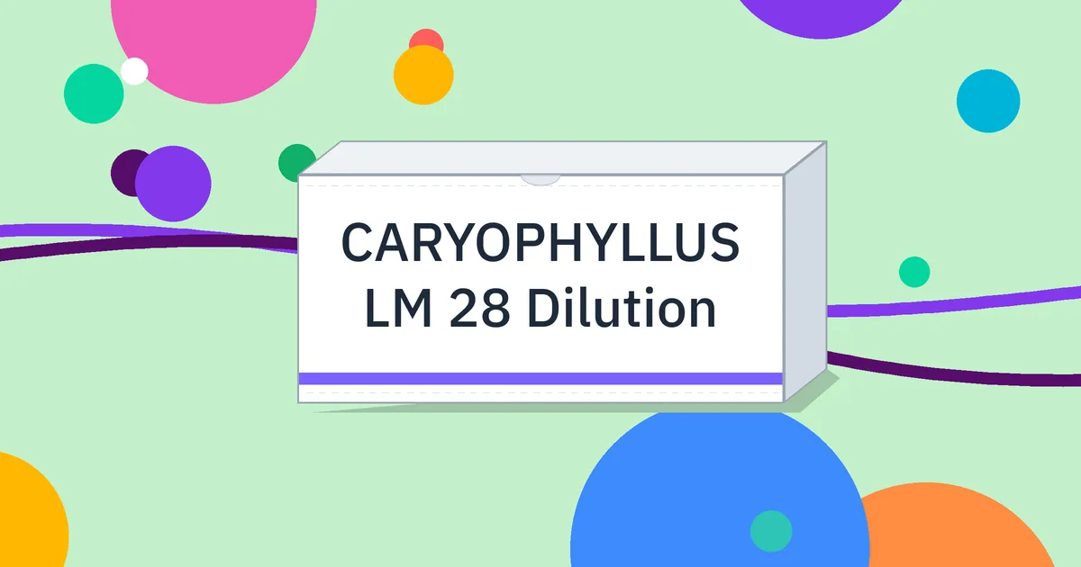 Symbolbild: Packung mit der Aufschrift CARYOPHYLLUS LM 28 Dilution (PZN 13432161) – Verfügbarkeit und Bezug in Apotheken in Frankfurt am Main