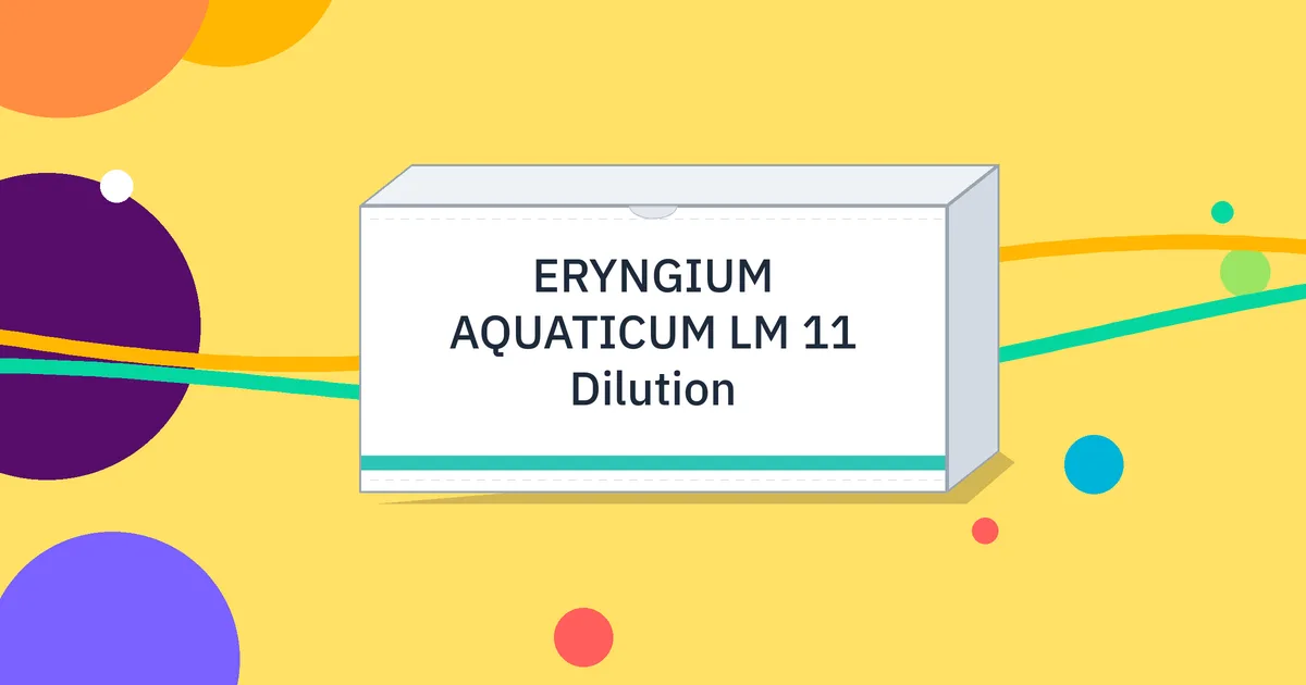 Symbolbild: Packung mit der Aufschrift ERYNGIUM AQUATICUM LM 11 Dilution (PZN 13478565) – Verfügbarkeit und Bezug in Apotheken in Frankfurt am Main