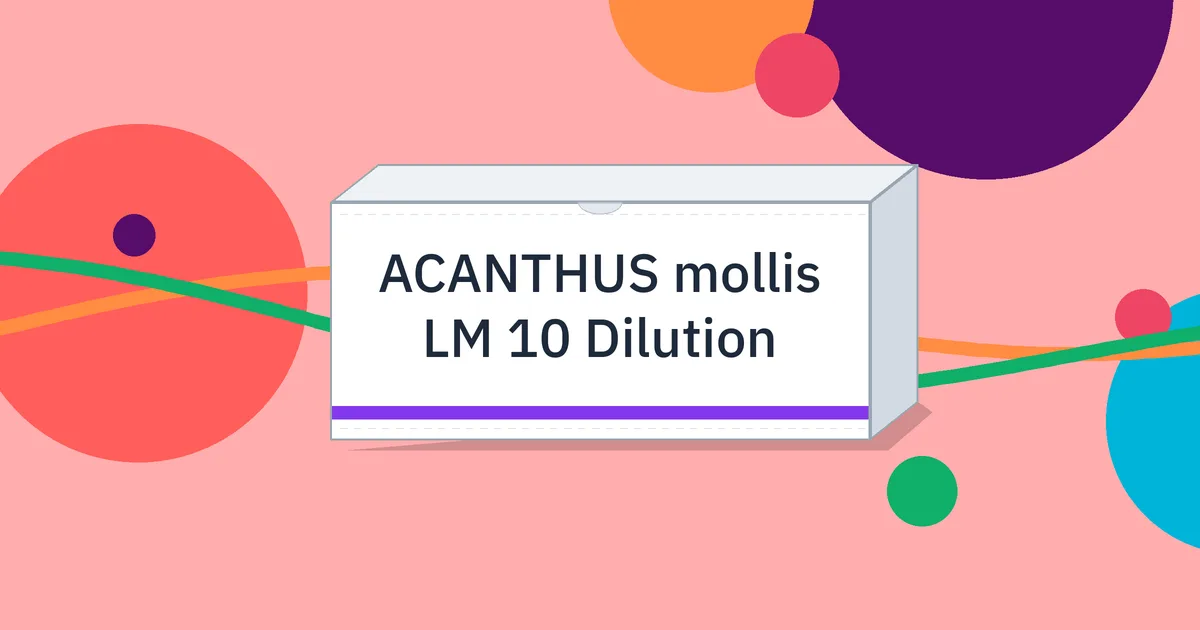 Symbolbild: Packung mit der Aufschrift ACANTHUS mollis LM 10 Dilution (PZN 13263209) – Verfügbarkeit und Bezug in Apotheken in Frankfurt am Main
