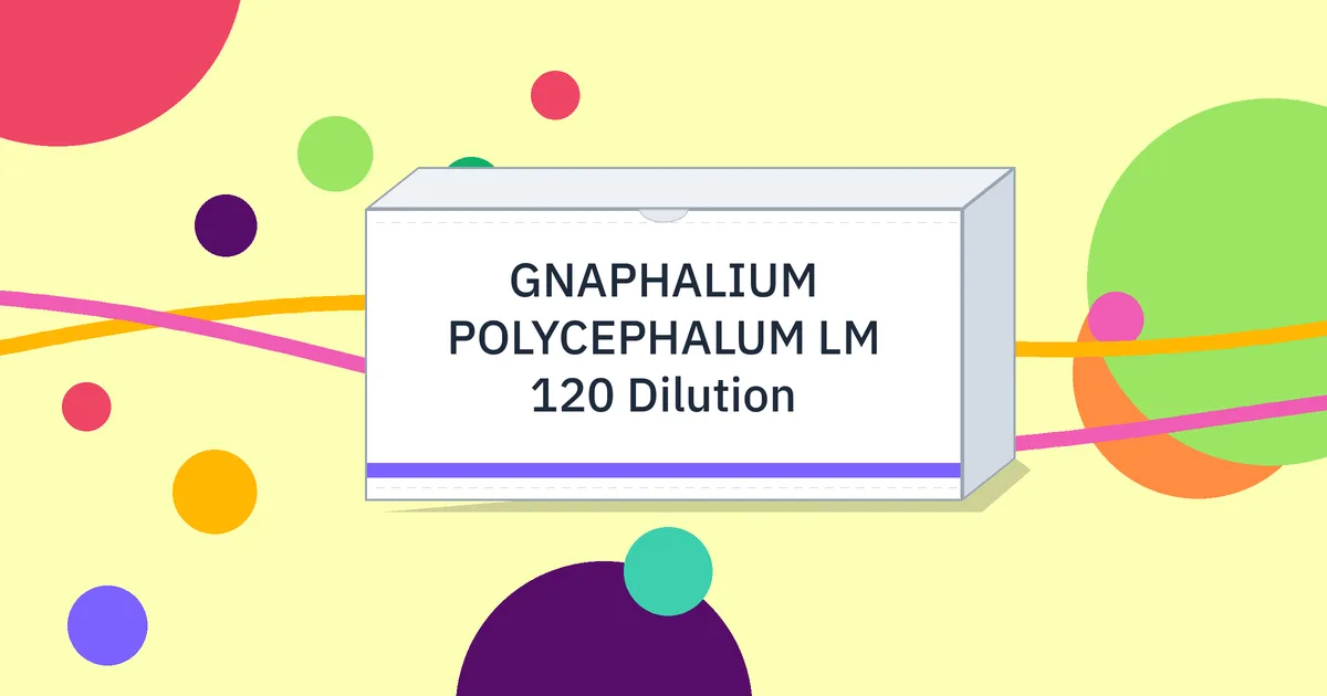 Symbolbild: Packung mit der Aufschrift GNAPHALIUM POLYCEPHALUM LM 120 Dilution (PZN 13545439) – Verfügbarkeit und Bezug in Apotheken in Frankfurt am Main