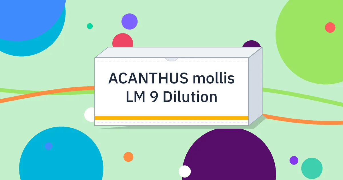 Symbolbild: Packung mit der Aufschrift ACANTHUS mollis LM 9 Dilution (PZN 13263184) – Verfügbarkeit und Bezug in Apotheken in Frankfurt am Main