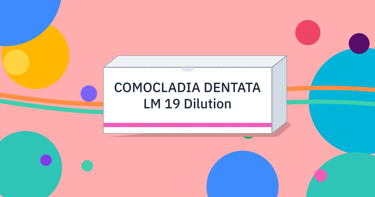 Symbolbild: Packung mit der Aufschrift COMOCLADIA DENTATA LM 19 Dilution (PZN 13449316) – Verfügbarkeit und Bezug in Apotheken in Frankfurt am Main