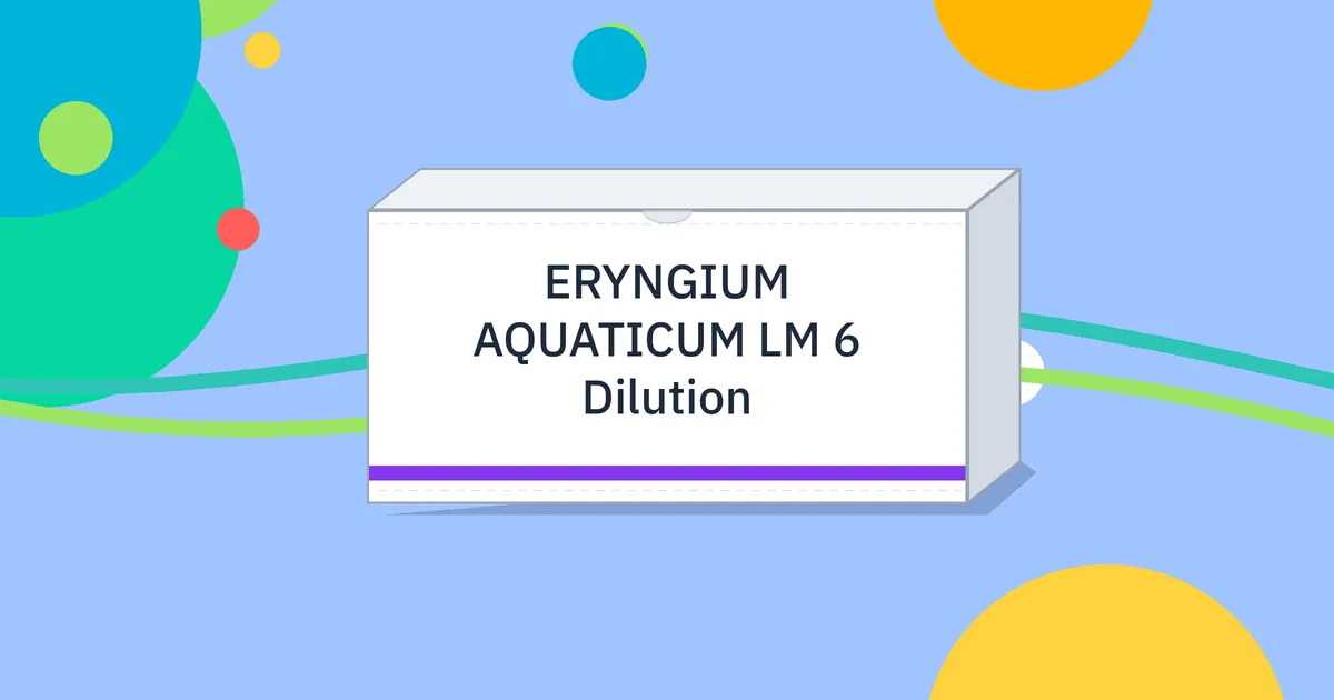 Symbolbild: Packung mit der Aufschrift ERYNGIUM AQUATICUM LM 6 Dilution (PZN 13478499) – Verfügbarkeit und Bezug in Apotheken in Frankfurt am Main