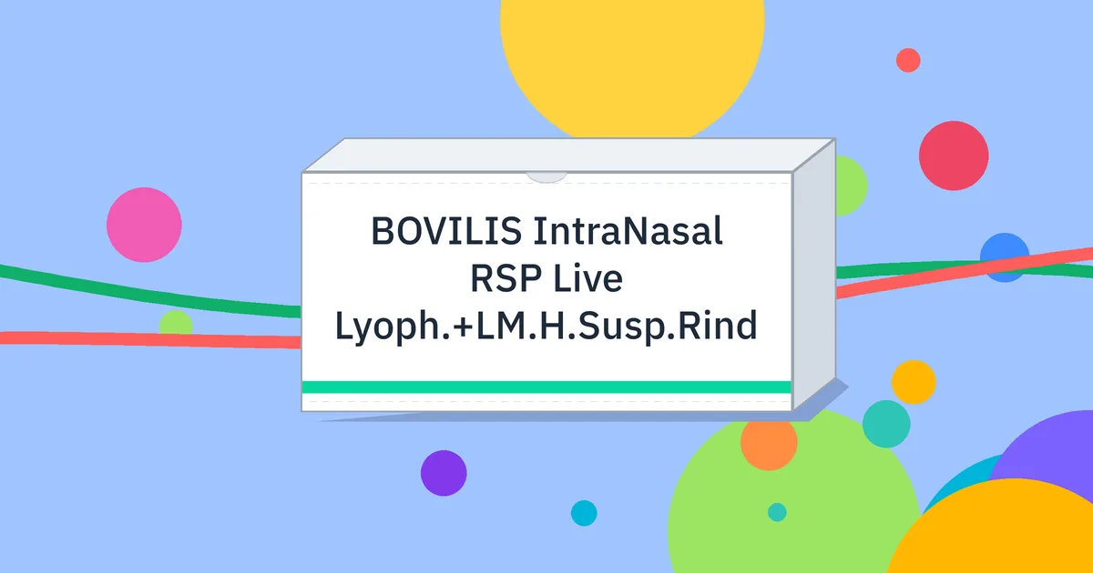 Symbolbild: Packung mit der Aufschrift BOVILIS IntraNasal RSP Live Lyoph.+LM.H.Susp.Rind (PZN 16890450) – Verfügbarkeit und Bezug in Apotheken in Frankfurt am Main