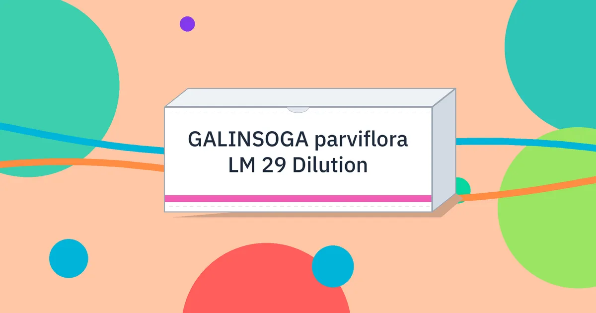 Symbolbild: Packung mit der Aufschrift GALINSOGA parviflora LM 29 Dilution (PZN 13496847) – Verfügbarkeit und Bezug in Apotheken in Frankfurt am Main