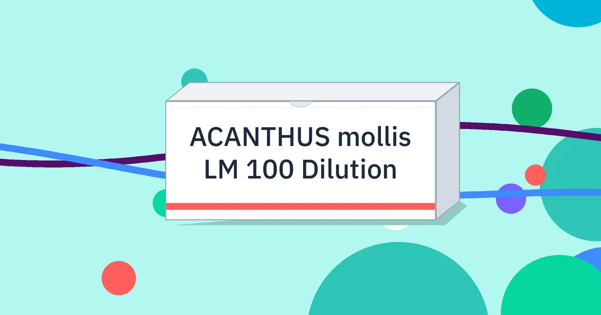 Symbolbild: Packung mit der Aufschrift ACANTHUS mollis LM 100 Dilution (PZN 13263793) – Verfügbarkeit und Bezug in Apotheken in Frankfurt am Main