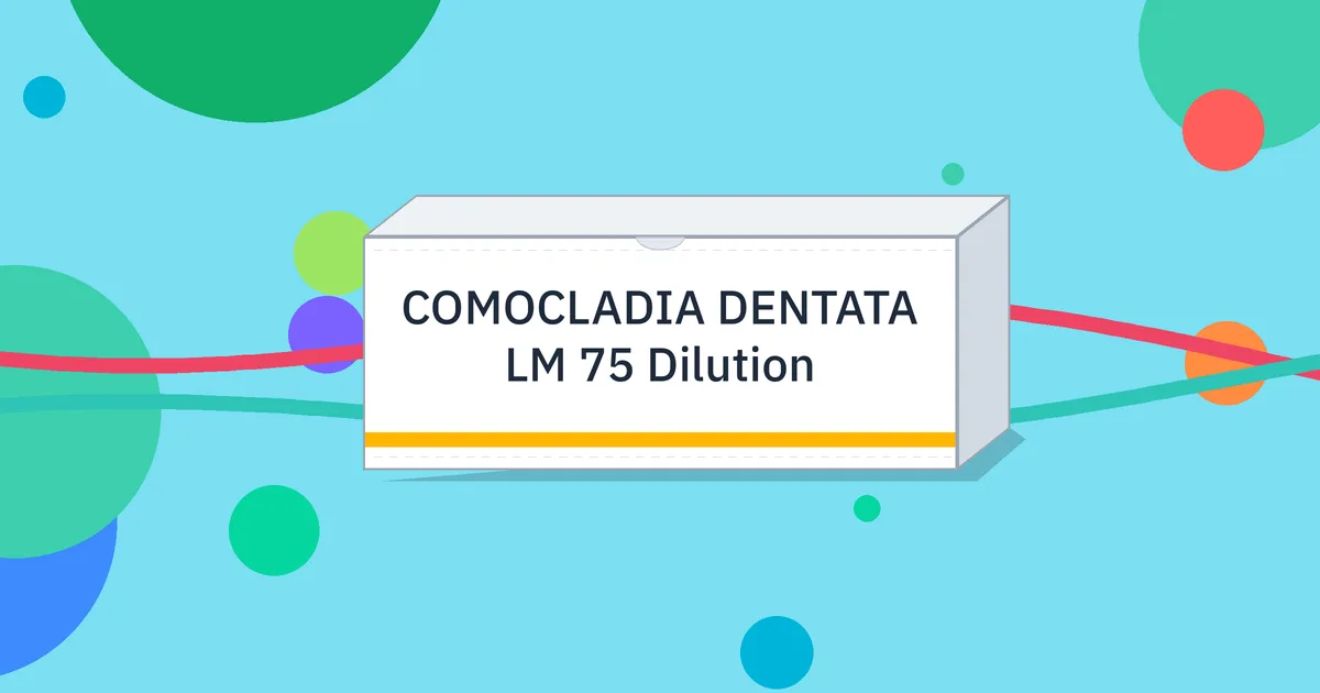 Symbolbild: Packung mit der Aufschrift COMOCLADIA DENTATA LM 75 Dilution (PZN 13449492) – Verfügbarkeit und Bezug in Apotheken in Frankfurt am Main