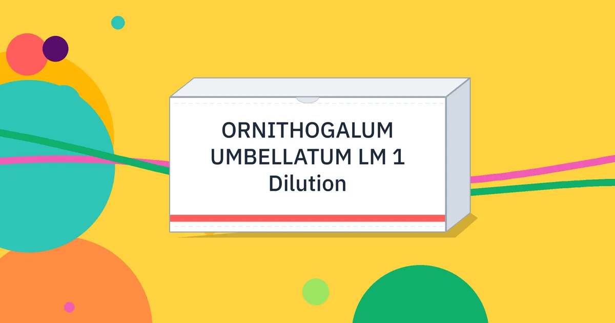 Symbolbild: Packung mit der Aufschrift ORNITHOGALUM UMBELLATUM LM 1 Dilution (PZN 12973363) – Verfügbarkeit und Bezug in Apotheken in Frankfurt am Main