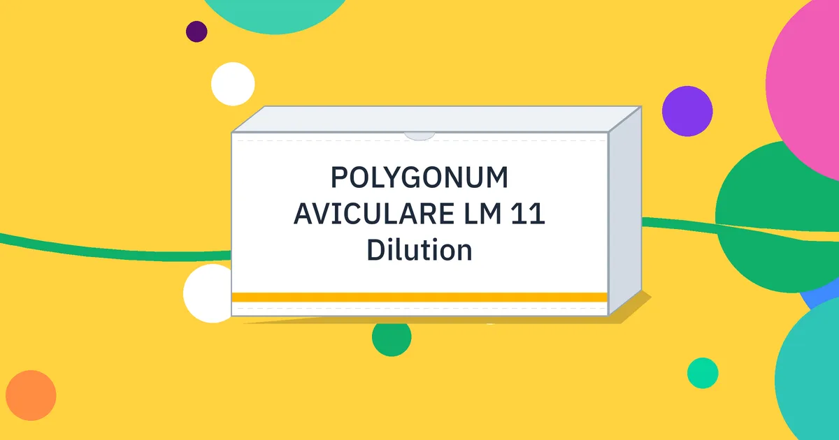 Symbolbild: Packung mit der Aufschrift POLYGONUM AVICULARE LM 11 Dilution (PZN 13661938) – Verfügbarkeit und Bezug in Apotheken in Frankfurt am Main