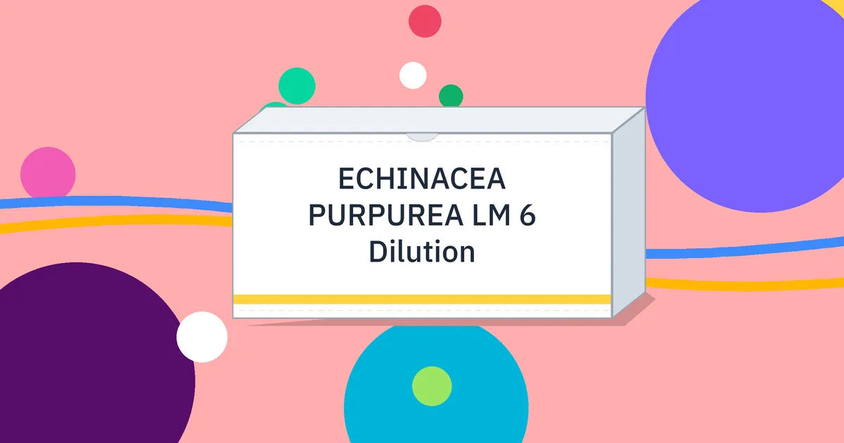 Symbolbild: Packung mit der Aufschrift ECHINACEA PURPUREA LM 6 Dilution (PZN 13468325) – Verfügbarkeit und Bezug in Apotheken in Frankfurt am Main