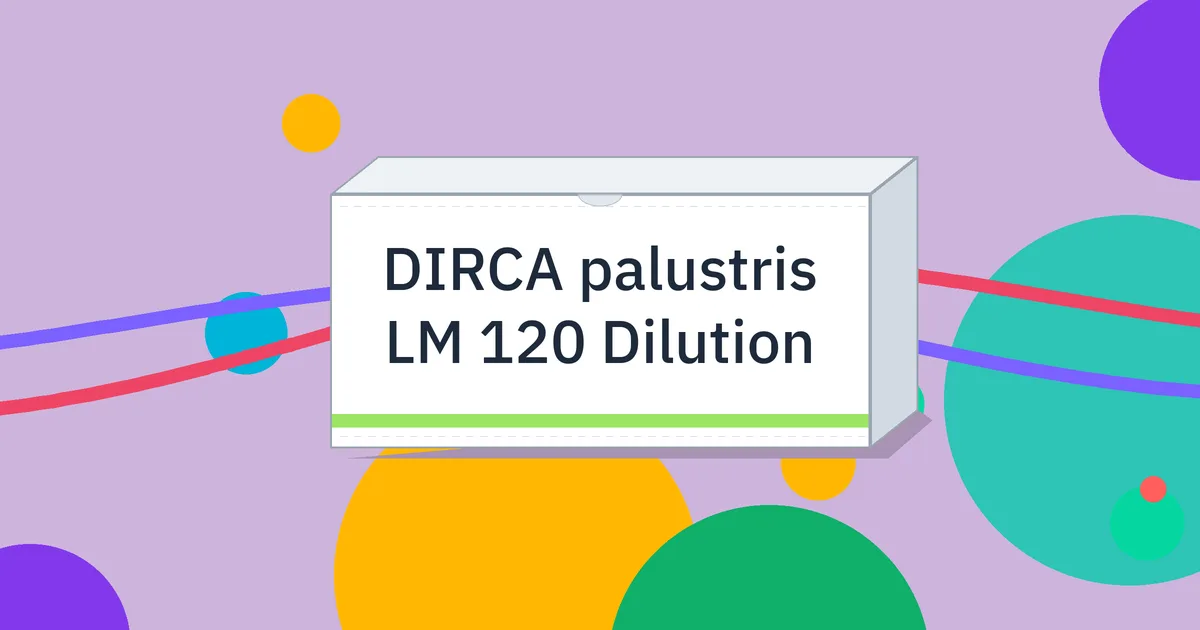Symbolbild: Packung mit der Aufschrift DIRCA palustris LM 120 Dilution (PZN 13465930) – Verfügbarkeit und Bezug in Apotheken in Frankfurt am Main